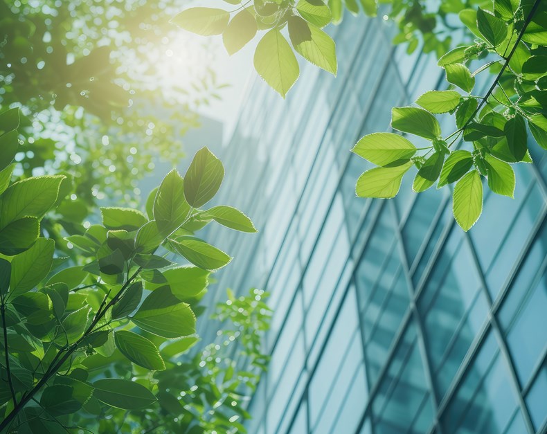 Sustainability And Inclusion Core Asset Consulting